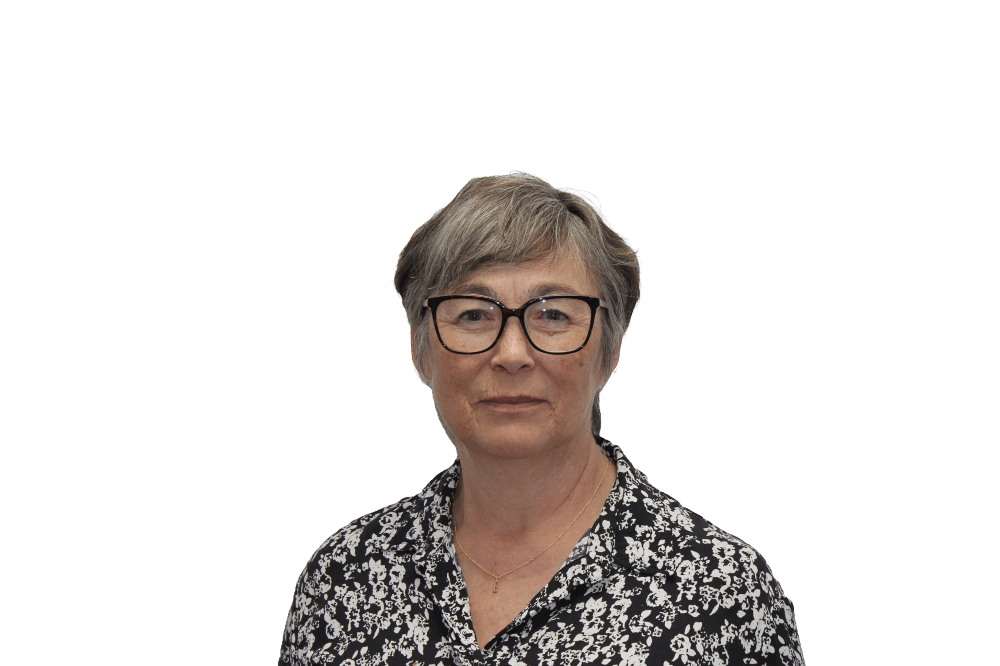 Menneskene bag – Greenland Business School